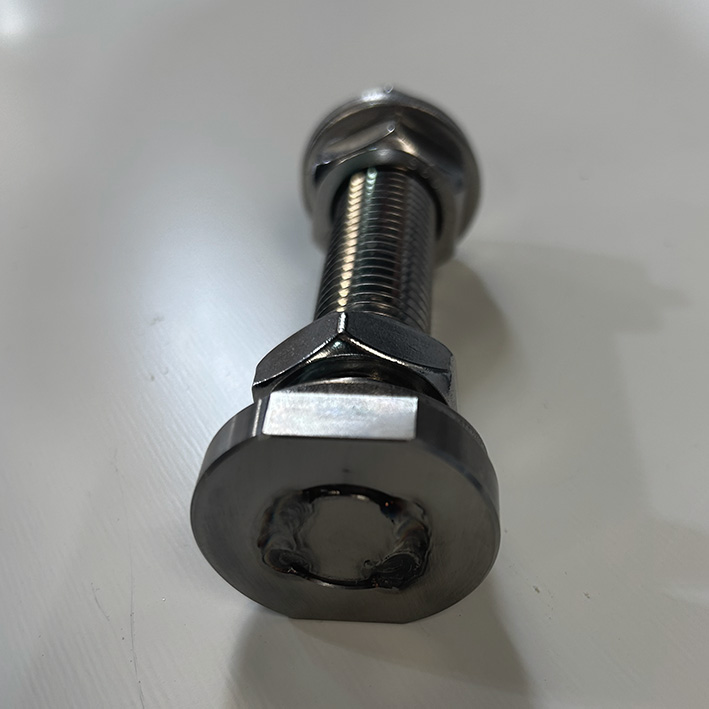 SCR Hanging Bolt (Screw Suspension) - Bluseal Doors Spares